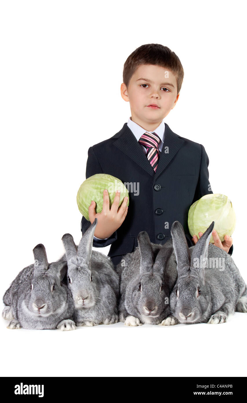 Image of boy in suit holding two heads of cabbage with grey rabbits ...