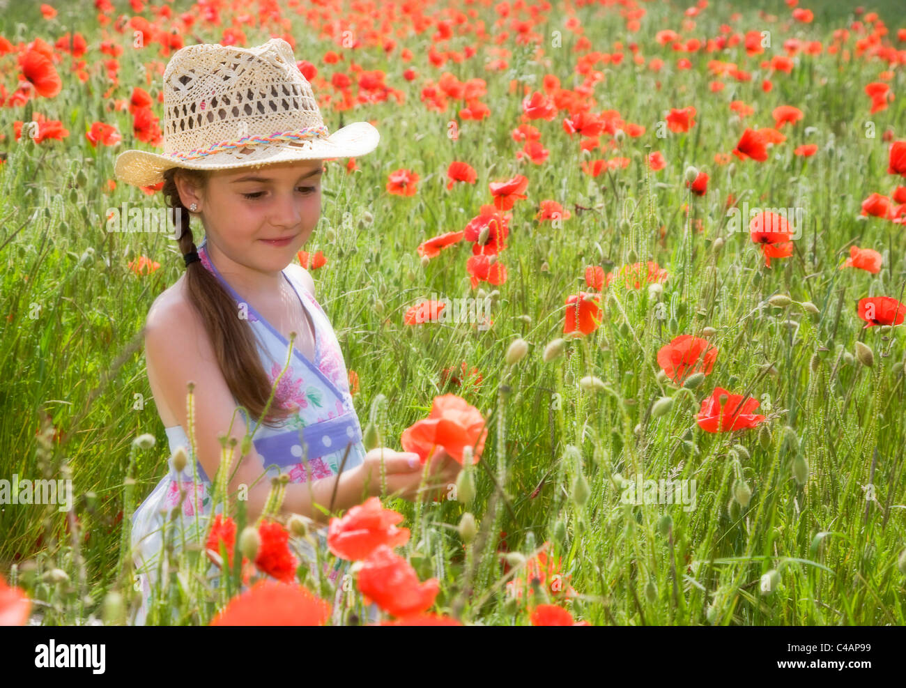 A Young Girl in a Field of Poppies Stock Photo - Alamy