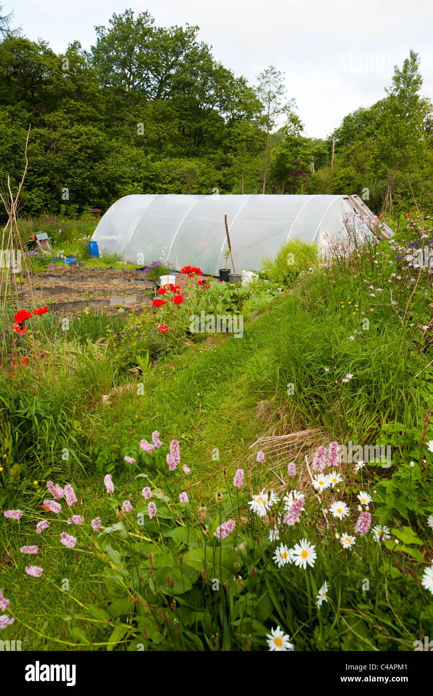Plastic tunnel garden hi-res stock photography and images - Alamy