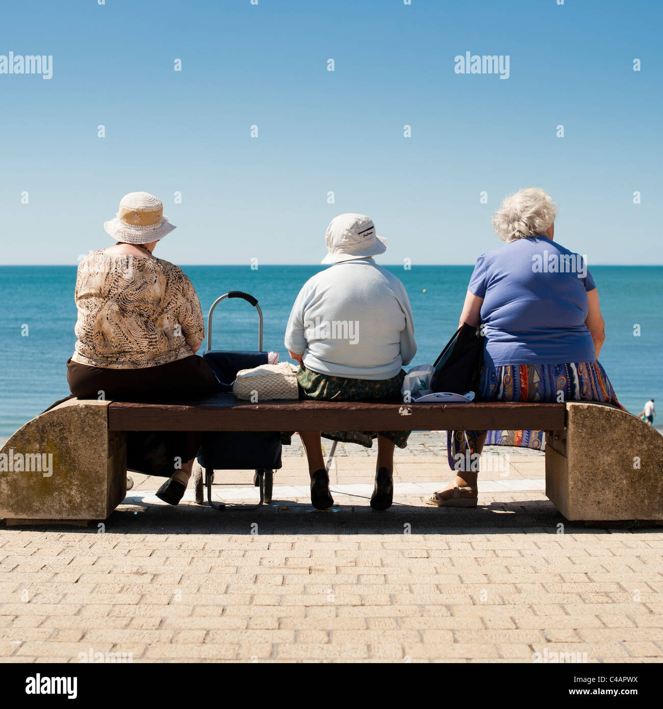 a rear view of three old elderly women sitting on a seaside bench ...