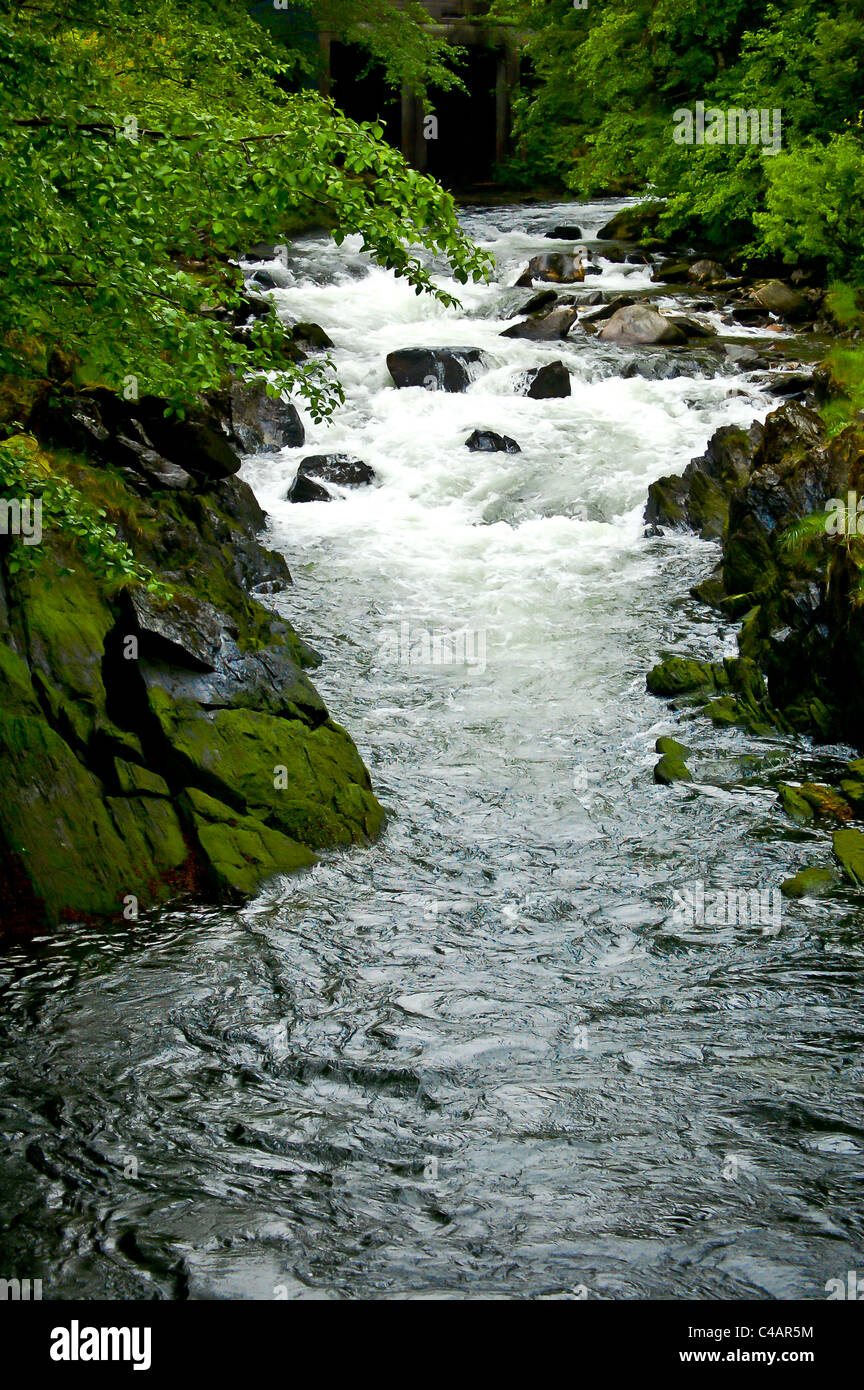Ketchikan Alaska Flowing River Stock Photo - Alamy
