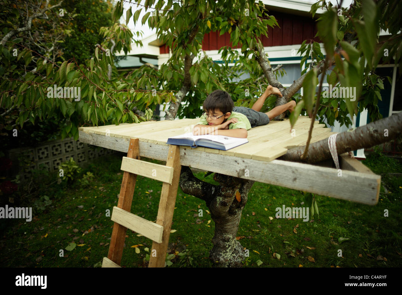 The Treehouse High Resolution Stock Photography and Images - Alamy