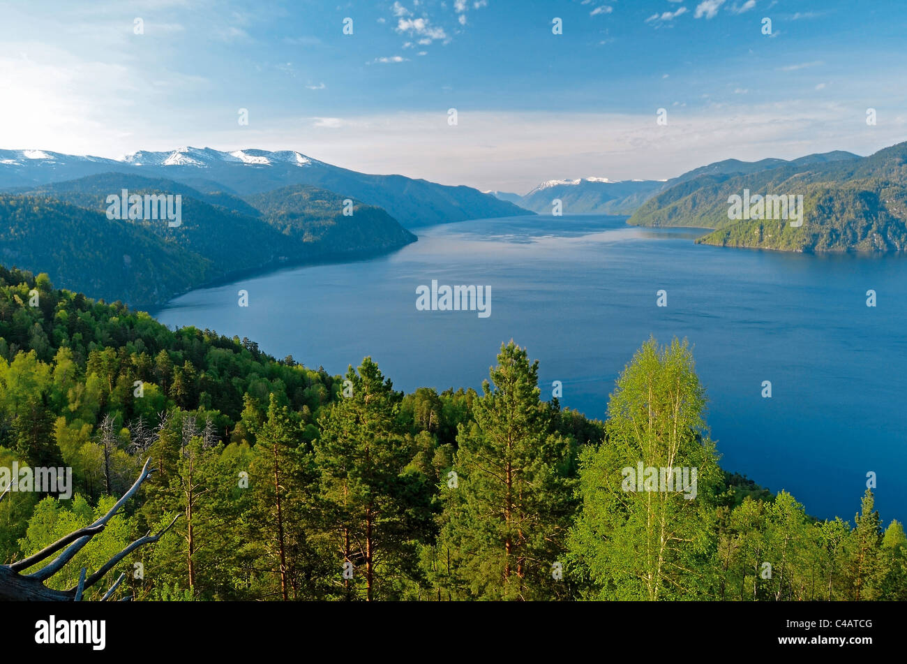 Teletskoye lake from above. Altai, Siberia, Russia Stock Photo - Alamy