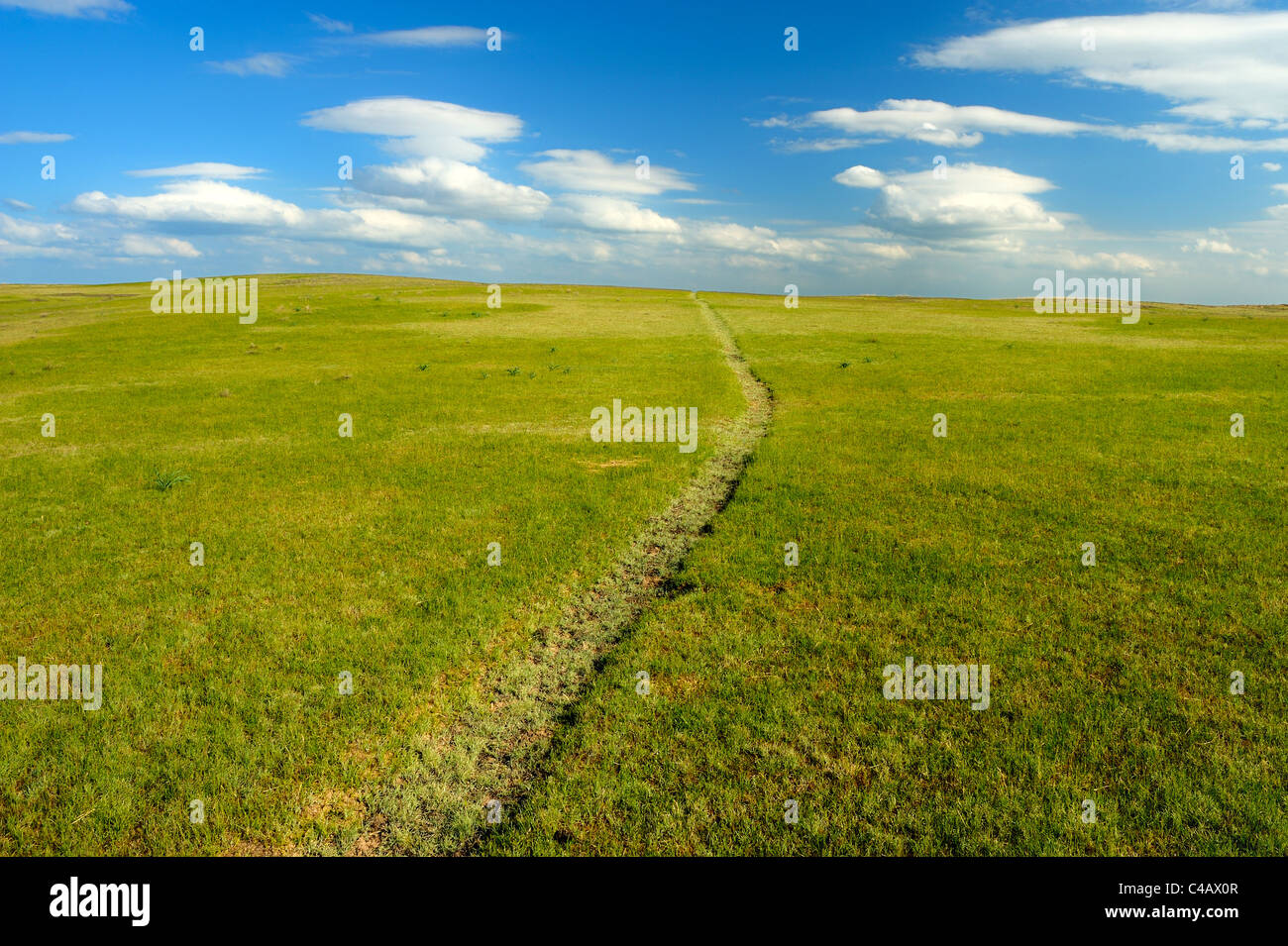 Trail on green meadow following to over the horizon Stock Photo - Alamy