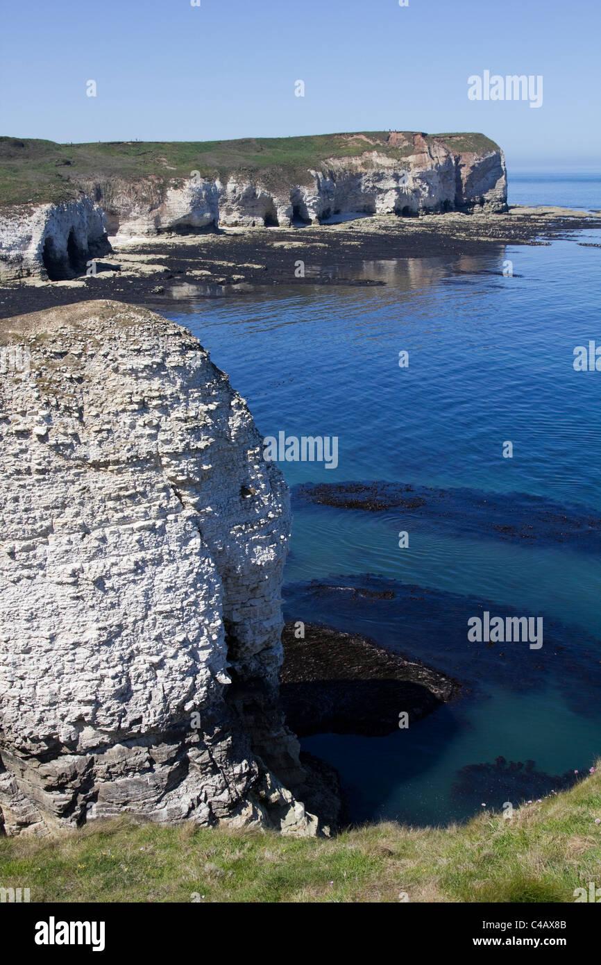 flamborough head sea cliff's birds nesting eroding cliffside yorkshire ...