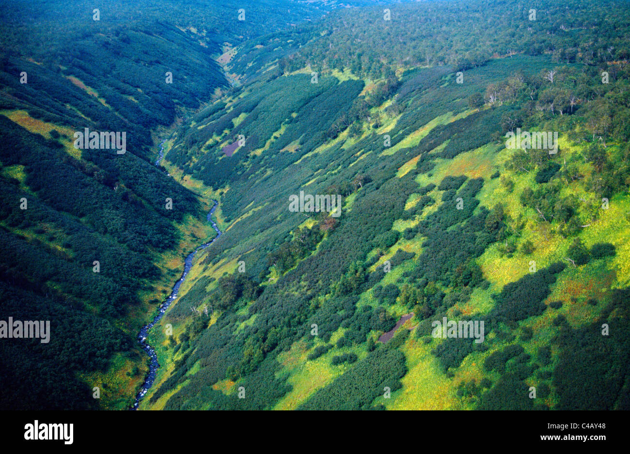 Landscape taiga river river hi-res stock photography and images - Alamy
