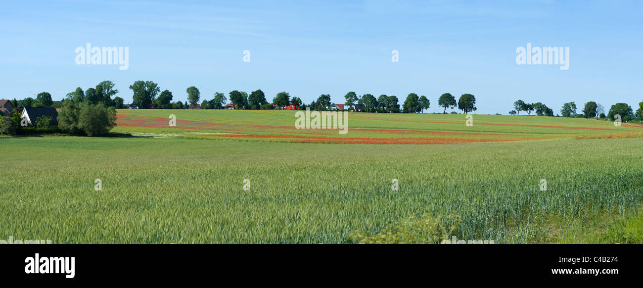 Rural landscape (panorama Stock Photo - Alamy
