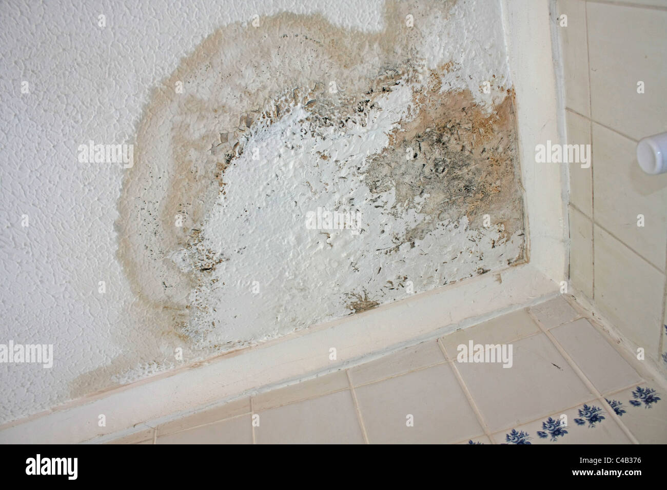 Damp plaster hi-res stock photography and images - Alamy