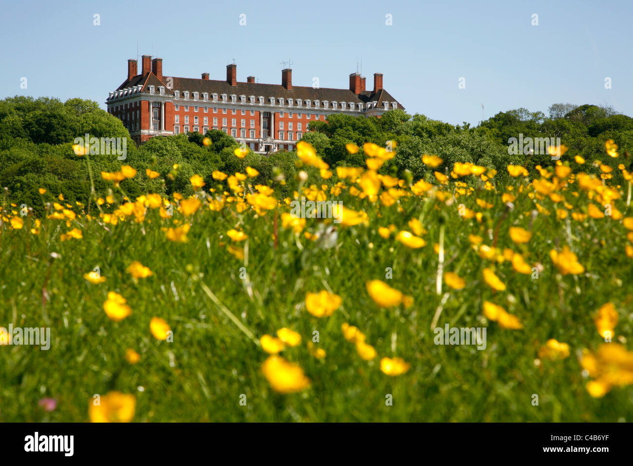 Buttercups in Petersham Meadows in front of Royal Star & Garter Home on ...