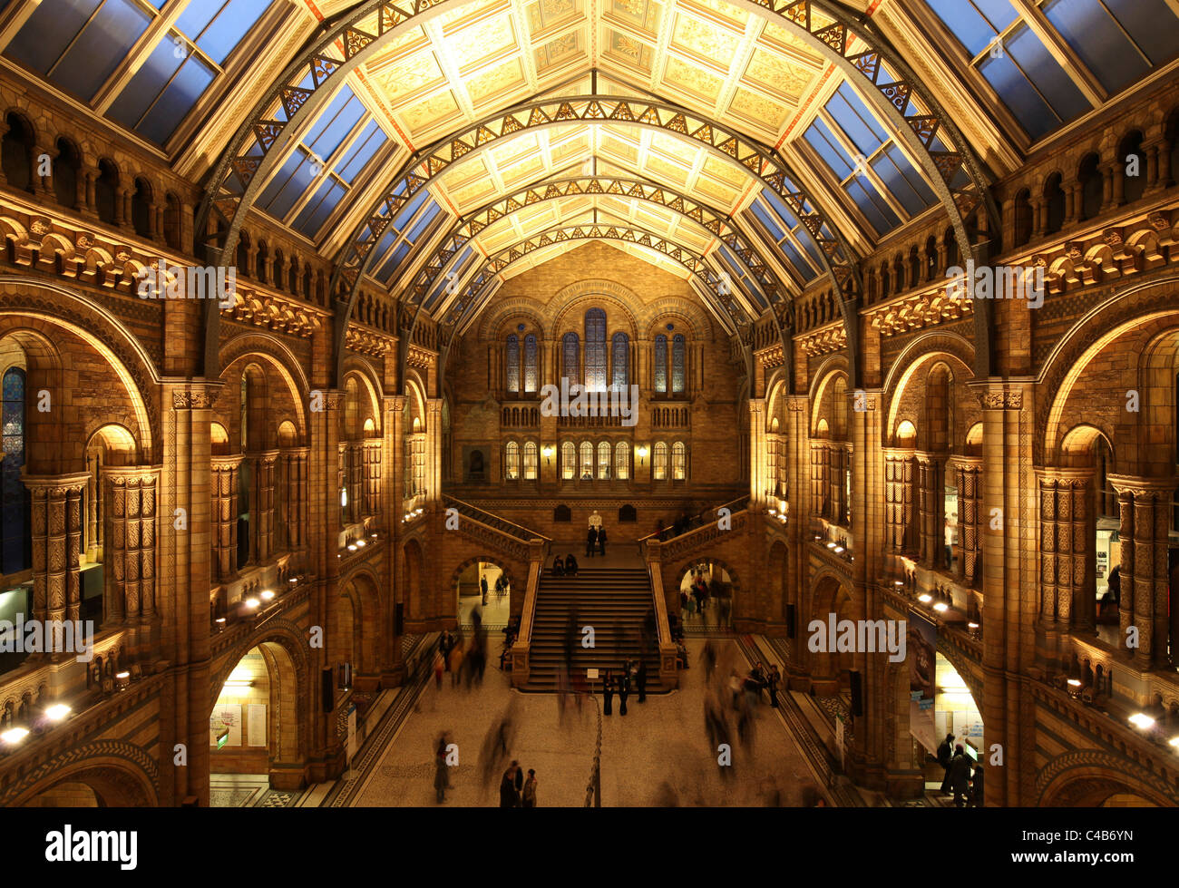 Atrium of the National History Museum in London Stock Photo - Alamy