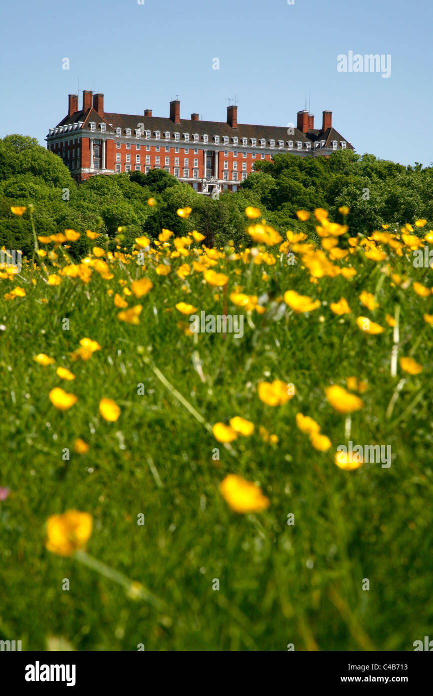 Buttercups in Petersham Meadows in front of Royal Star and Garter Home ...