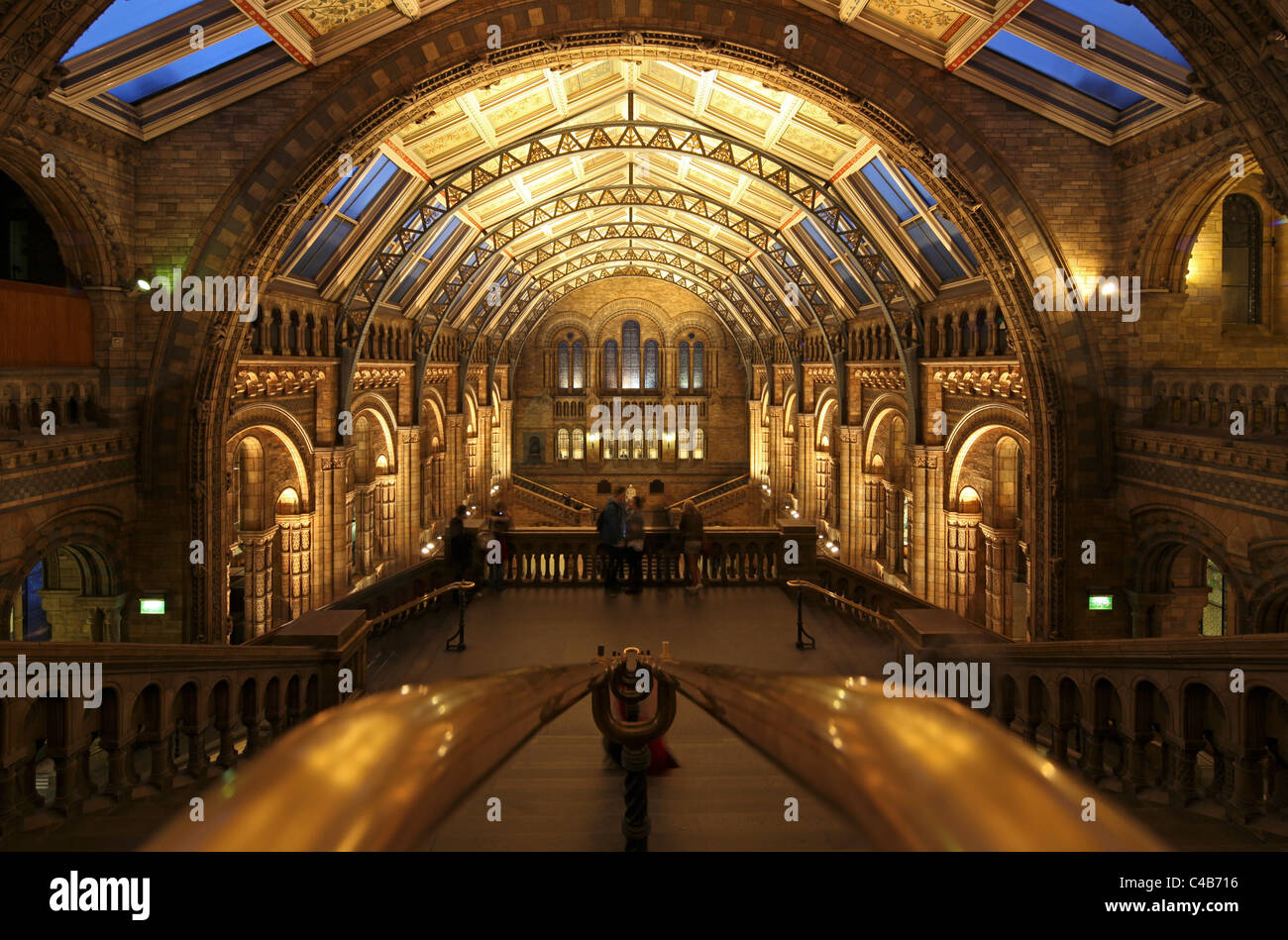 Atrium of the National History Museum in London Stock Photo - Alamy