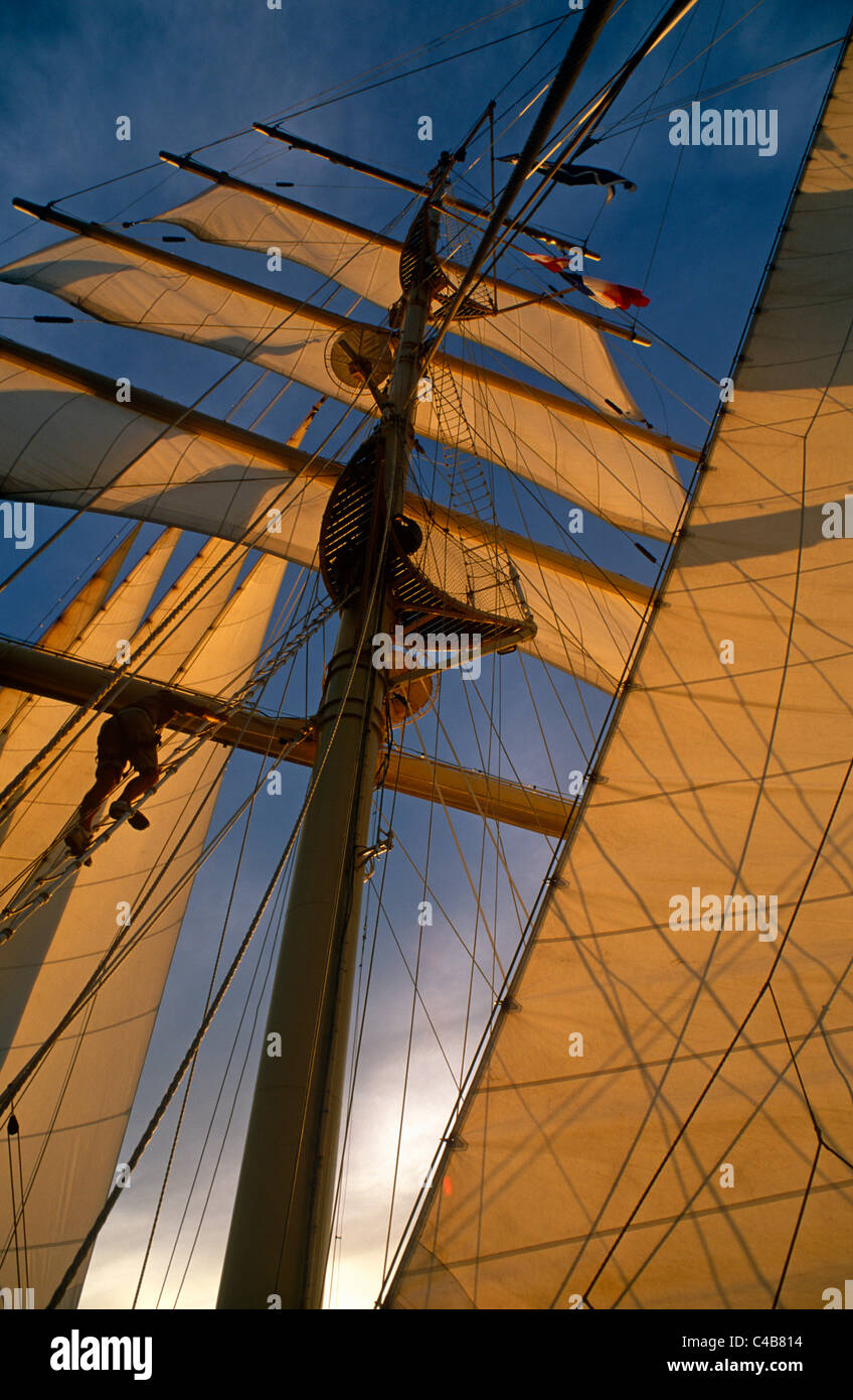 Star Flyer (one of the Star Clippers' ships). Passengers are often ...