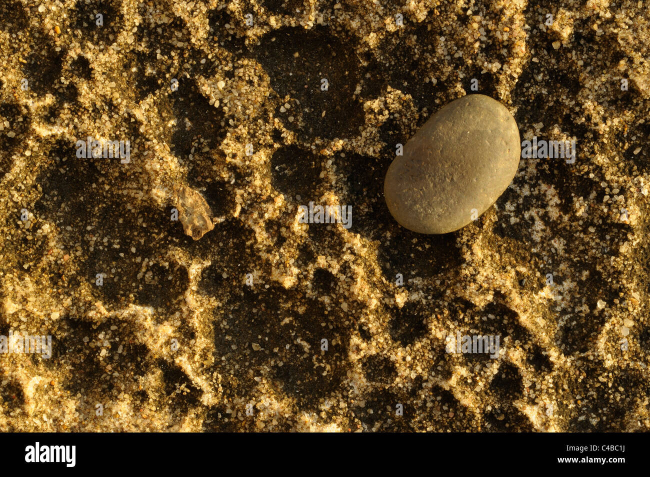 A rounded pebble on Coastal sediment rock, Mission Rocks, iSimangaliso ...