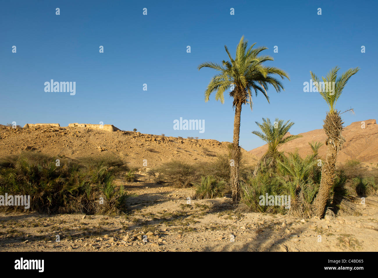 Fort oasis hi-res stock photography and images - Alamy