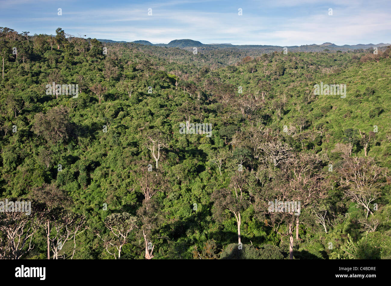 Aberdare hi-res stock photography and images - Alamy