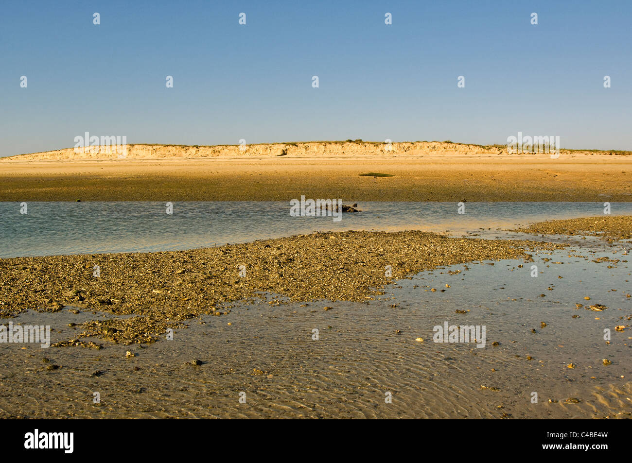 The Ria Formosa near Faro, Algarve, Portugal Stock Photo - Alamy