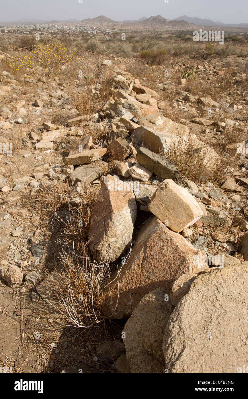 Qoorgaab ruins, Boroma, Somaliland, Somalia Stock Photo - Alamy