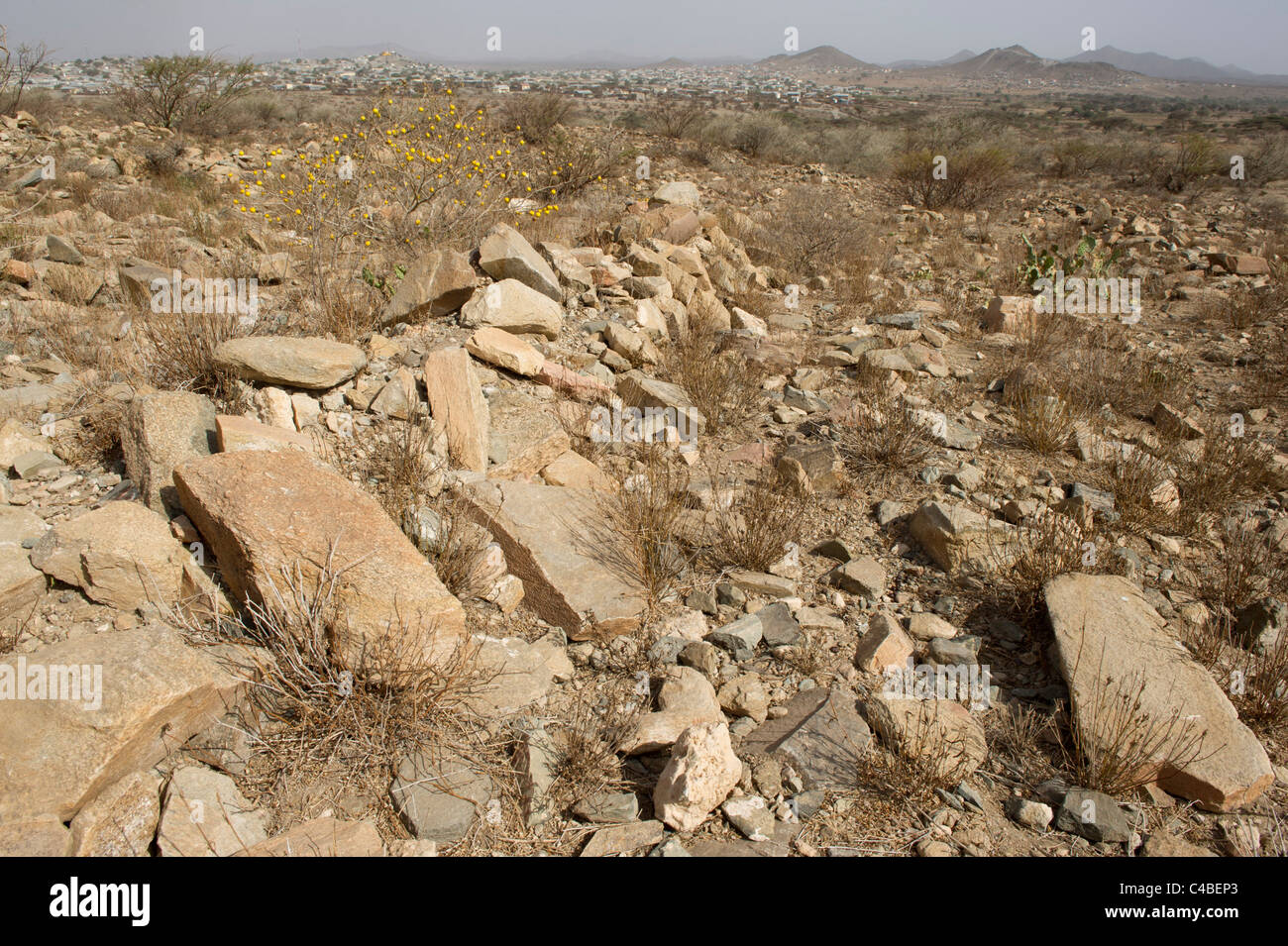 Qoorgaab ruins, Boroma, Somaliland, Somalia Stock Photo - Alamy
