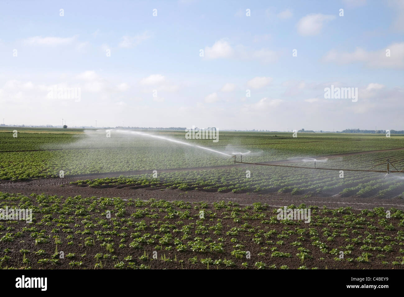 watering crops on the west fen Cambridgeshire Stock Photo - Alamy
