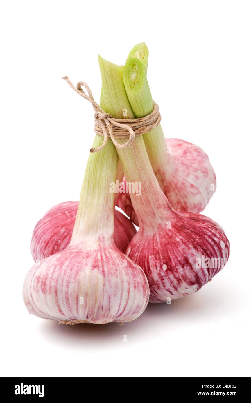 Fresh garlic in a bundle, isolated, white background Stock Photo - Alamy