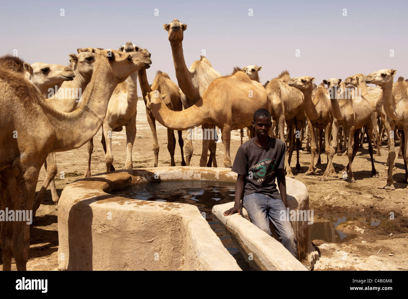 Well oasis hi-res stock photography and images - Alamy