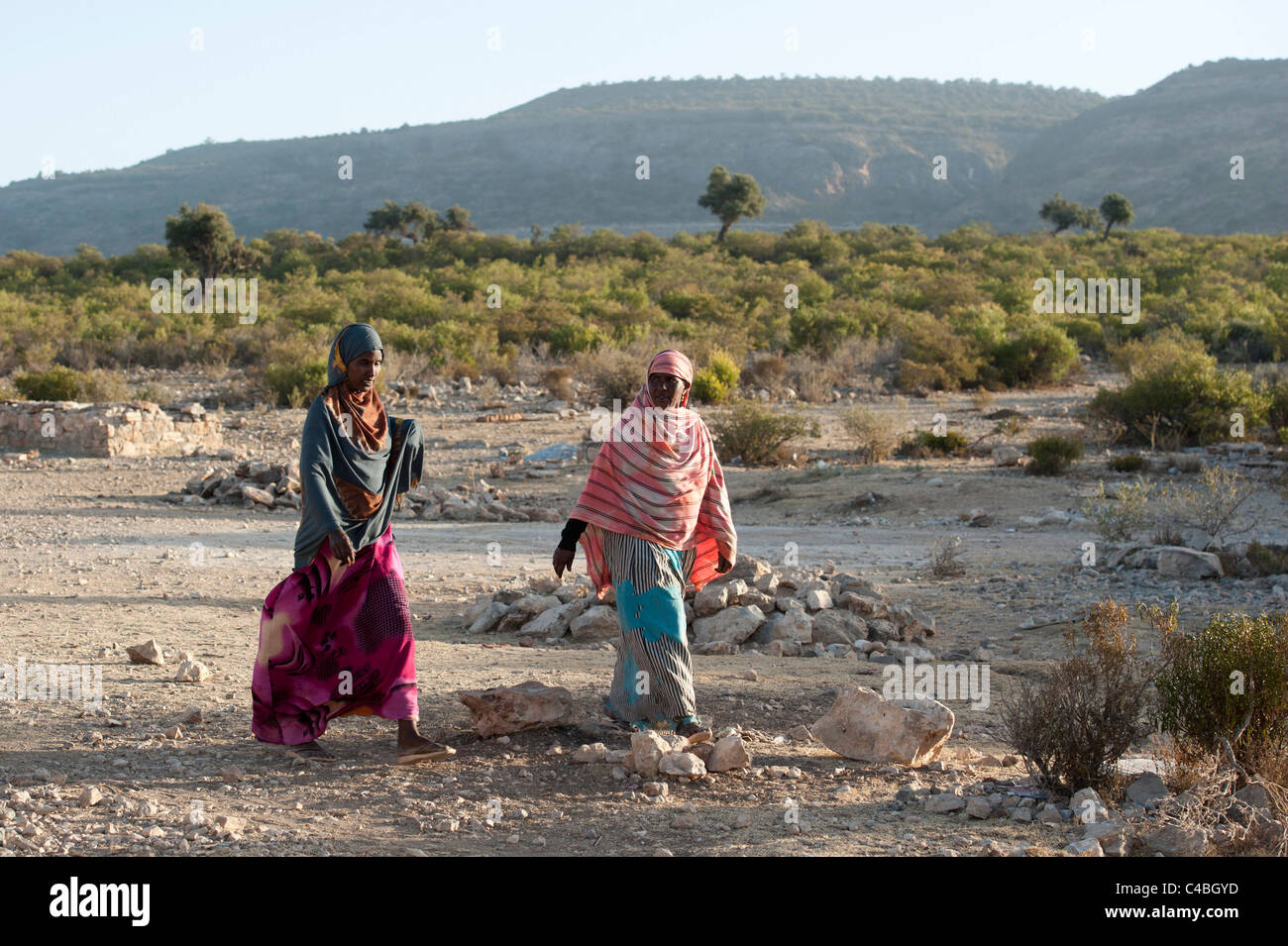 women walking on the edge of Daallo forest, Somaliland, Somalia Stock ...