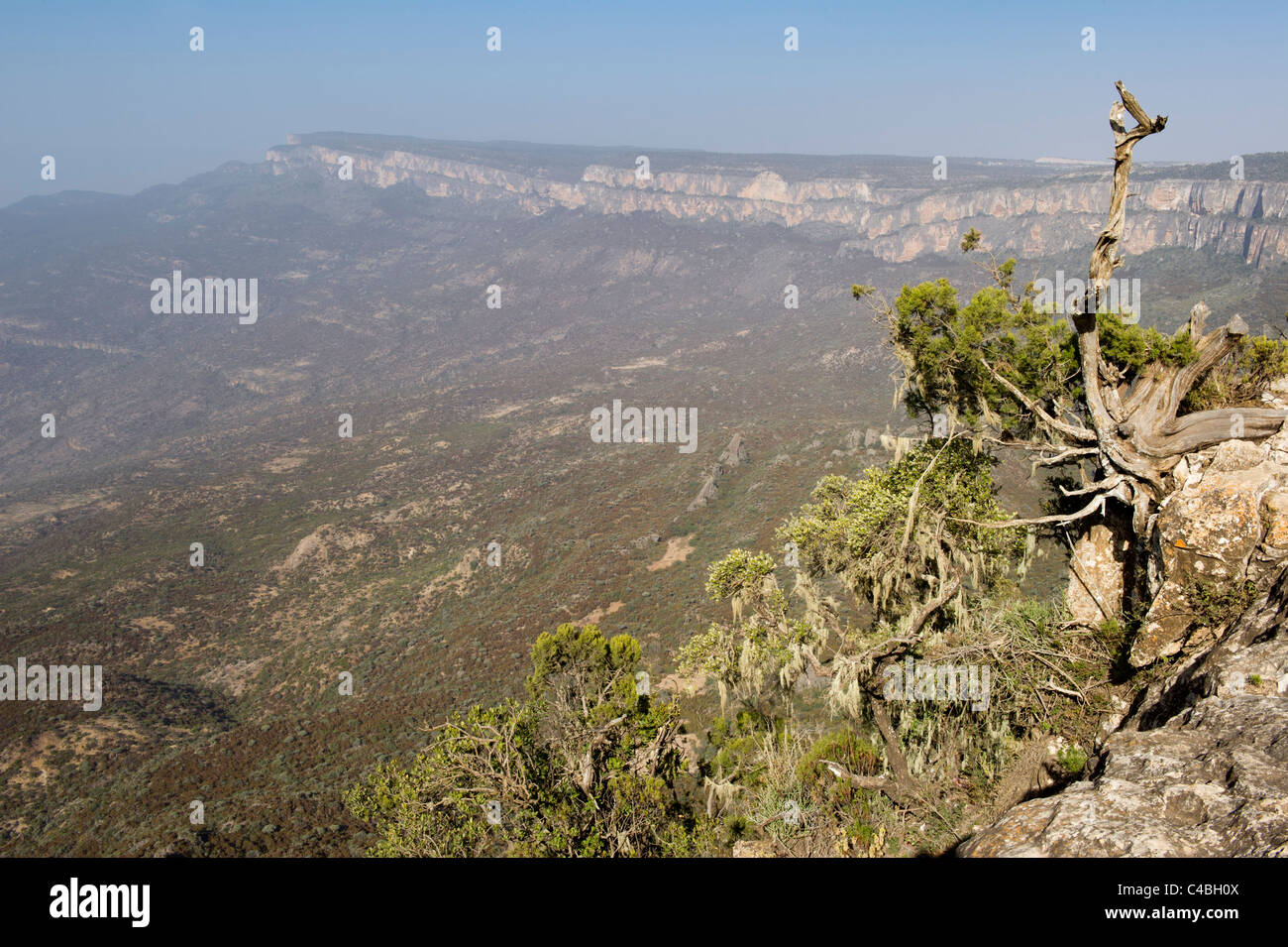 View of Daalloo escarpment, near Erigavo, Somaliland, Somalia Stock ...