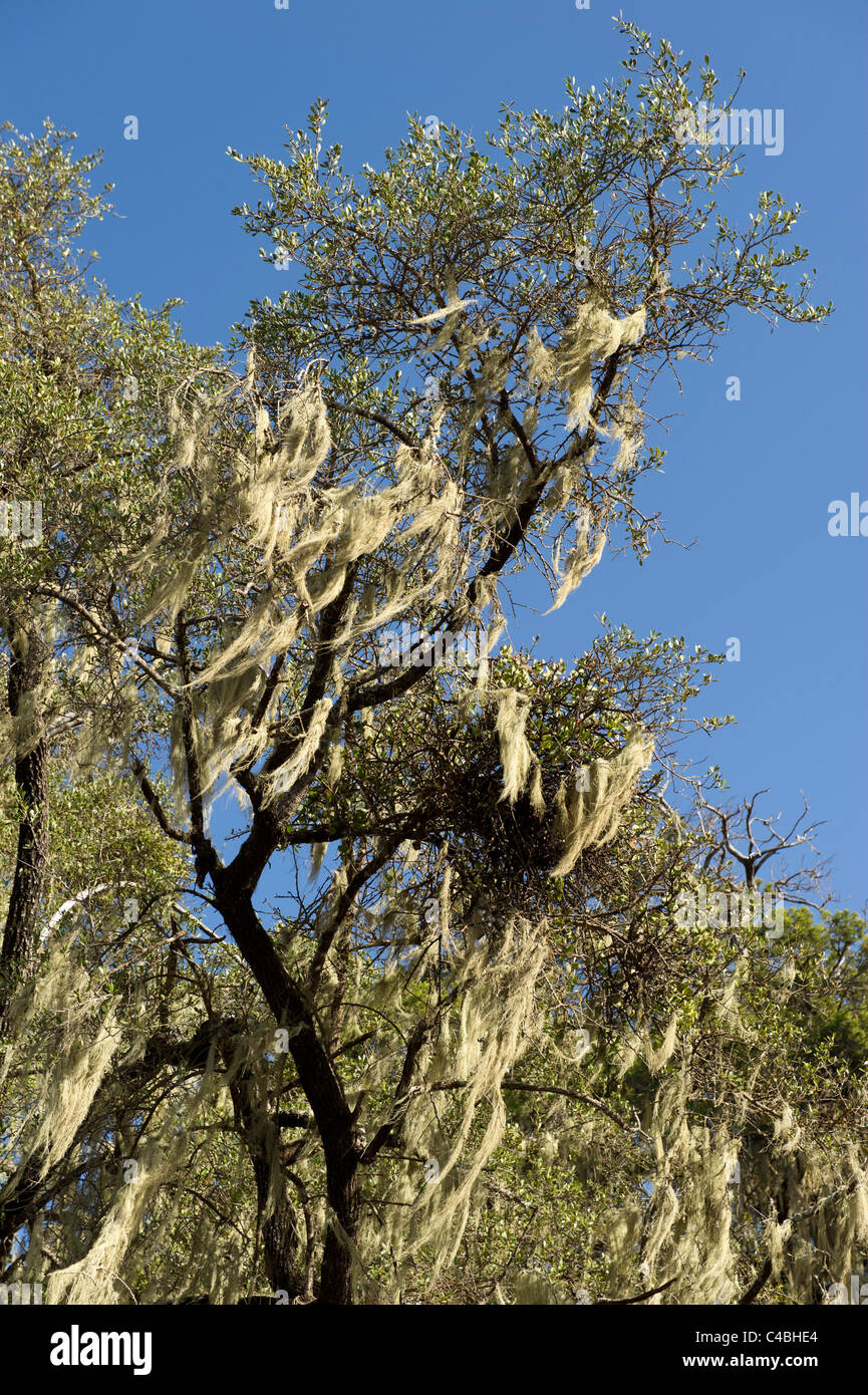 Erigavo hi-res stock photography and images - Alamy