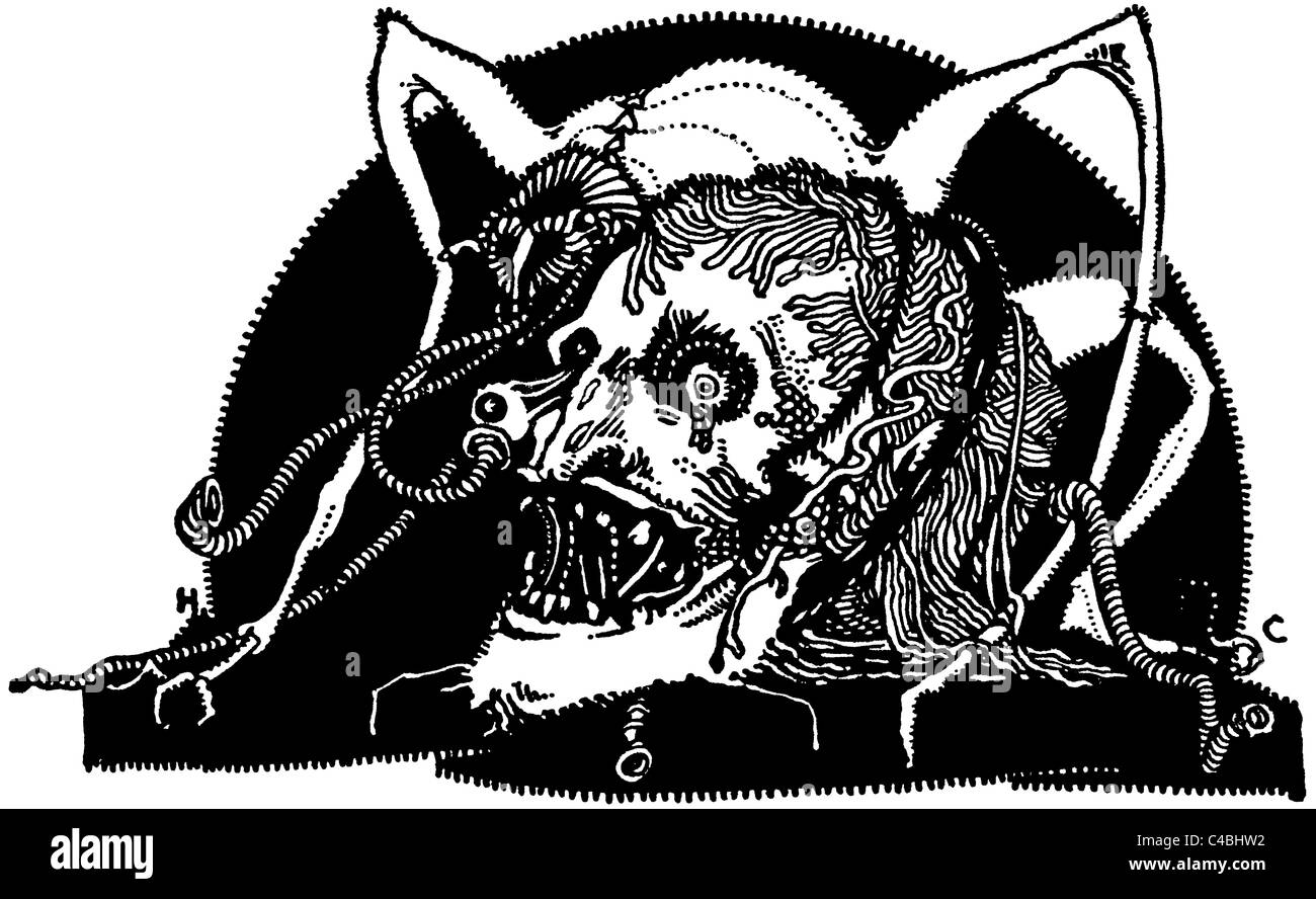 Edgar Allan Poe Illustrations Harry Clarke