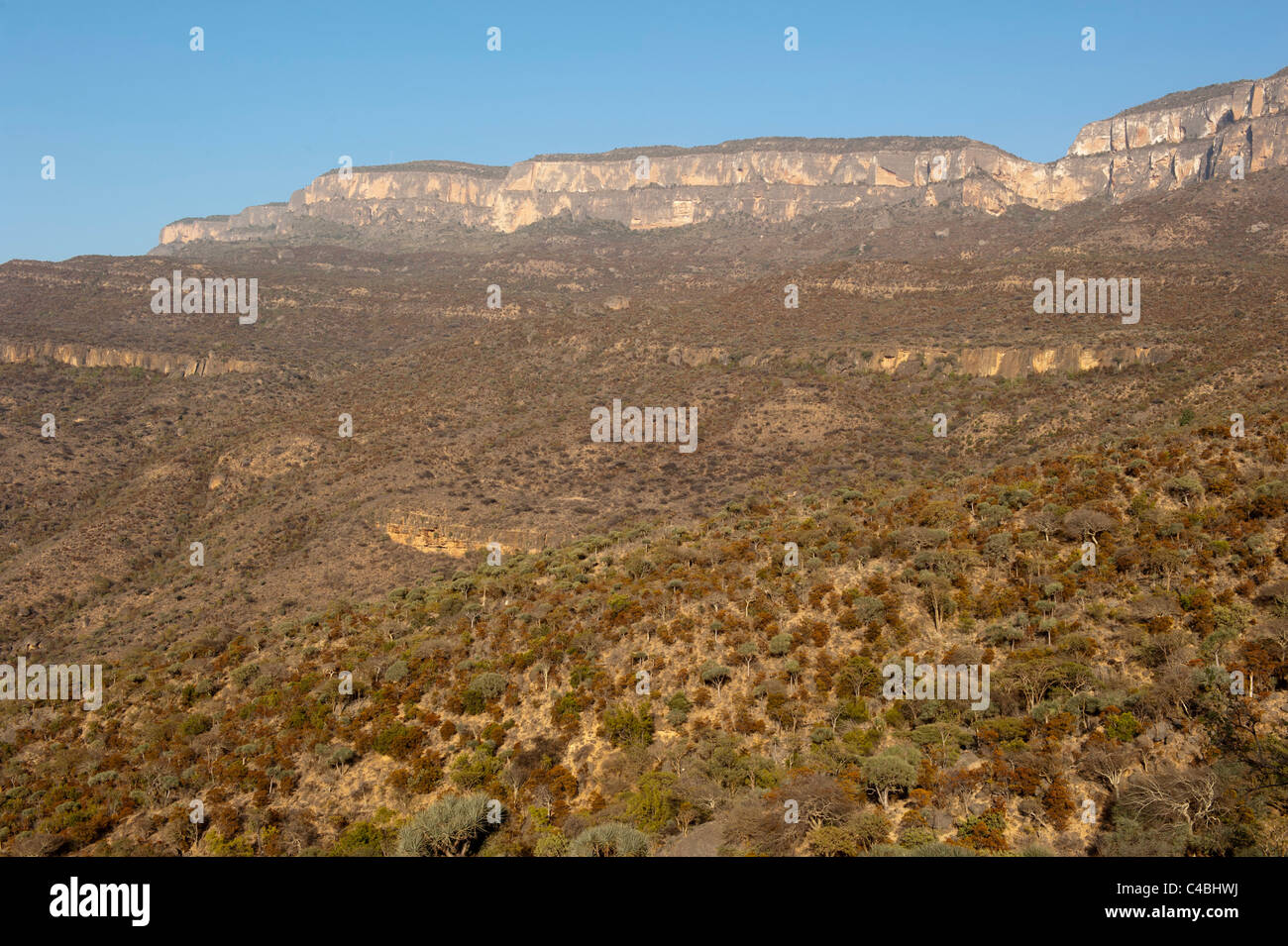 Daallo escarpment, Somaliland, Somalia Stock Photo - Alamy