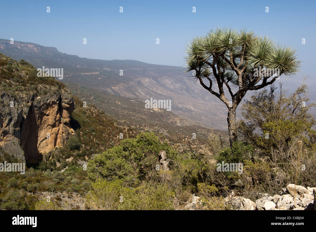 Somalia hi-res stock photography and images - Alamy