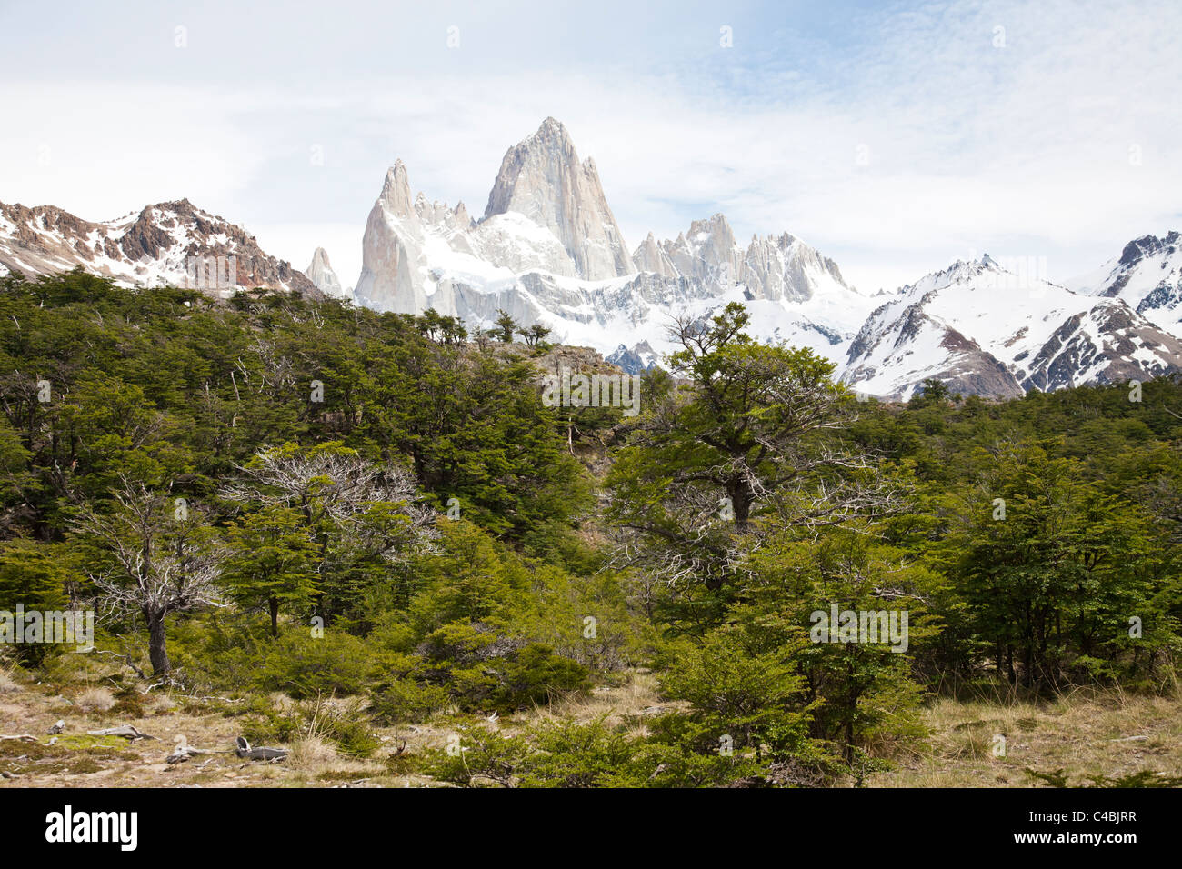 Fitz Roy massif, Parque Nacional Los Glaciares, Patagonia, Argentina ...