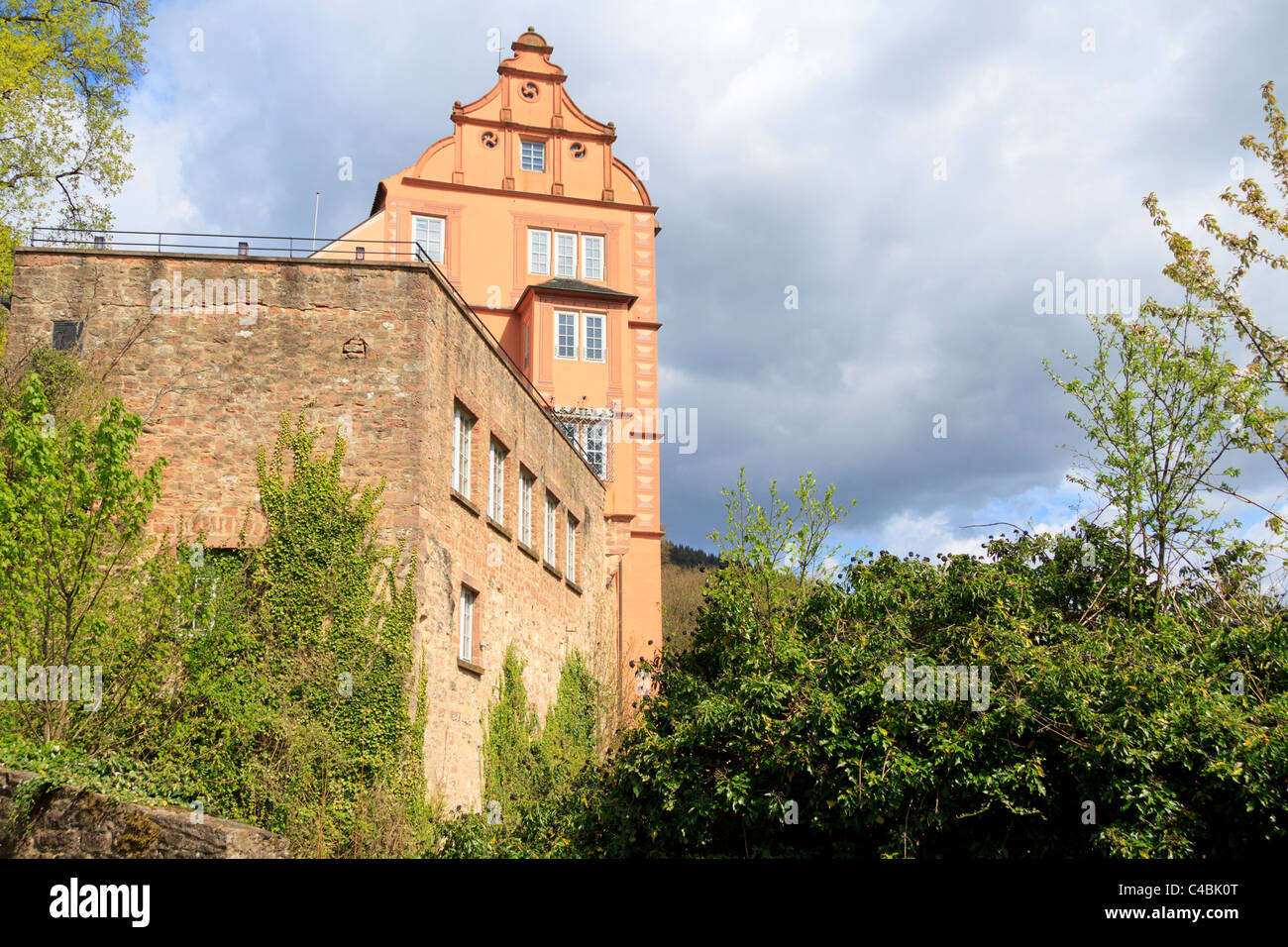 Burg Hirschhorn, Hirschorn Castle, in the Neckar Valley, Hesse, Germany ...