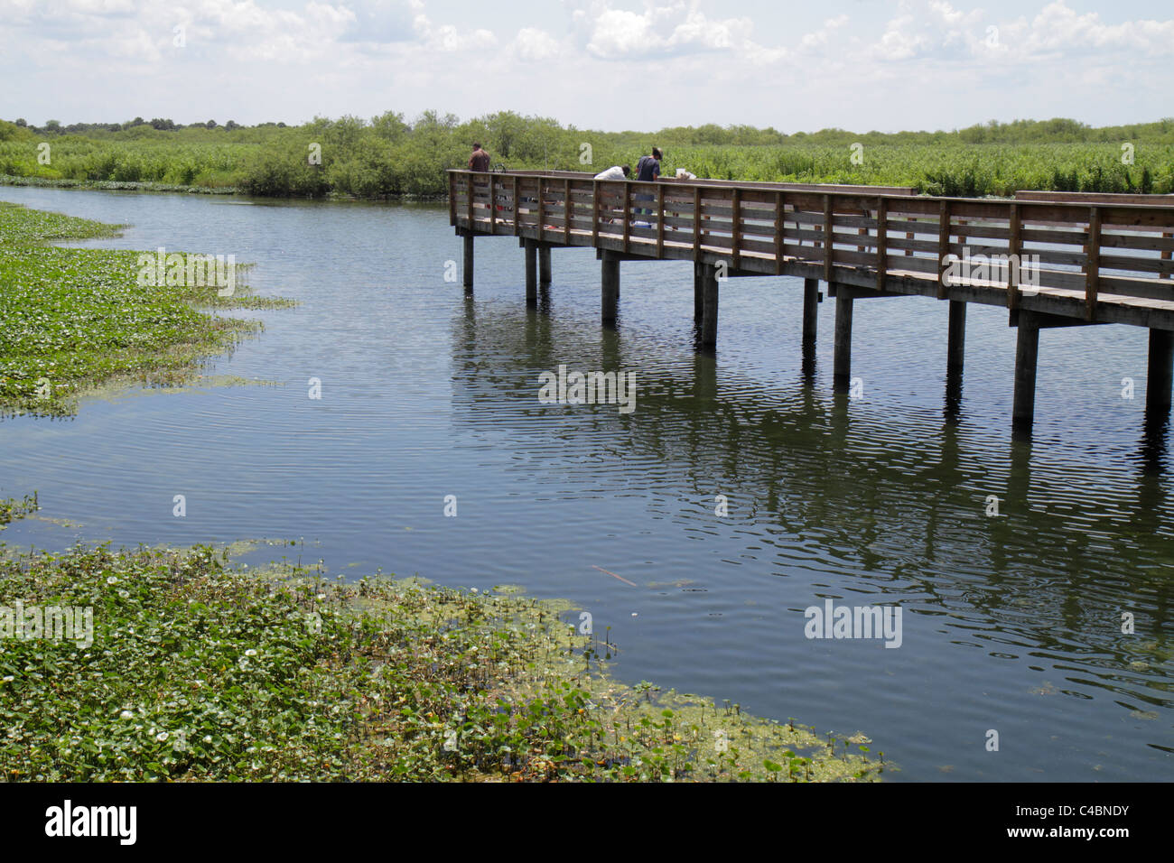 Florida Volusia County,Orange City,Blue Spring State Park,fishing pier ...