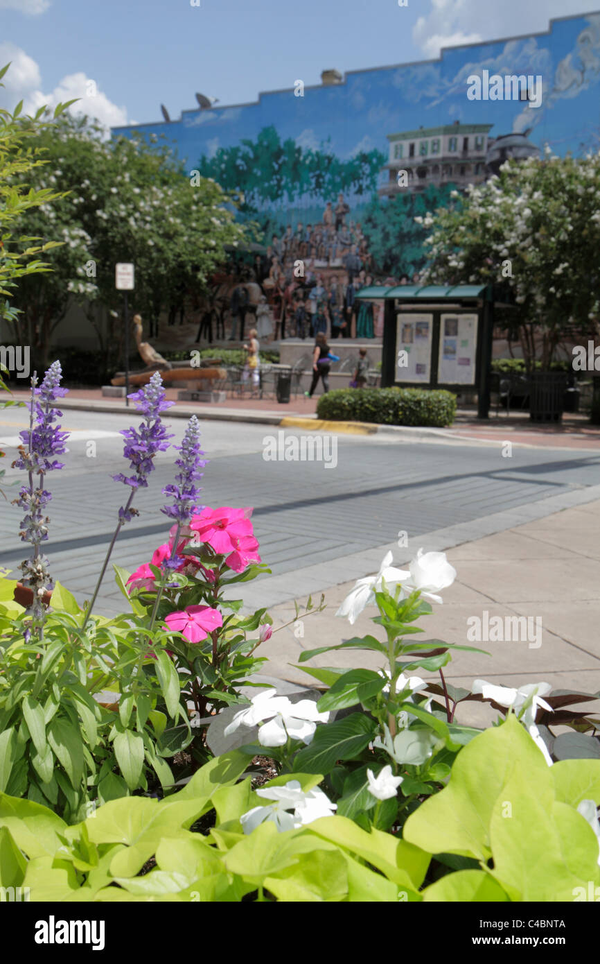 Deland Florida,Woodland Boulevard,downtown,main street,flower flowers ...