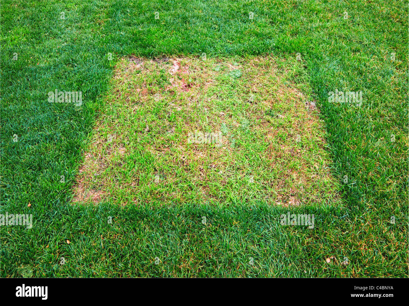 lawn with square mark Stock Photo - Alamy