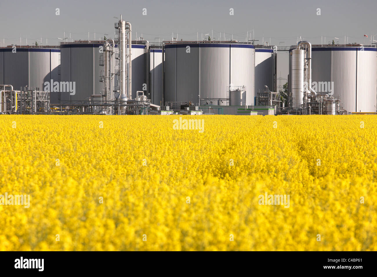 biogas plant with desulphurisation of VERBIO AG in Zörbig; blooming ...