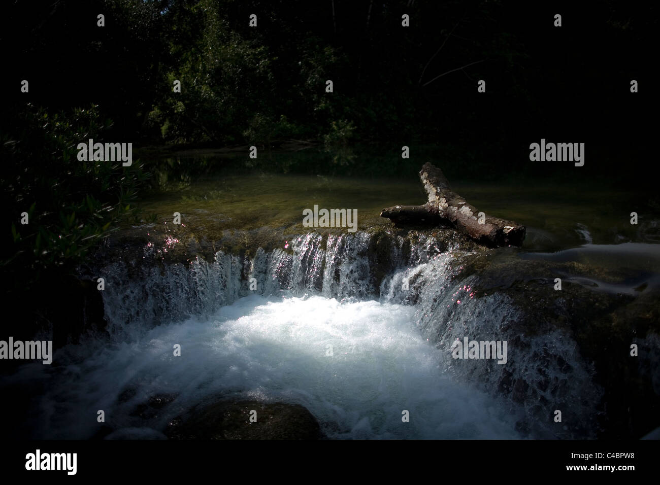 Lacandon rainforest hi-res stock photography and images - Alamy