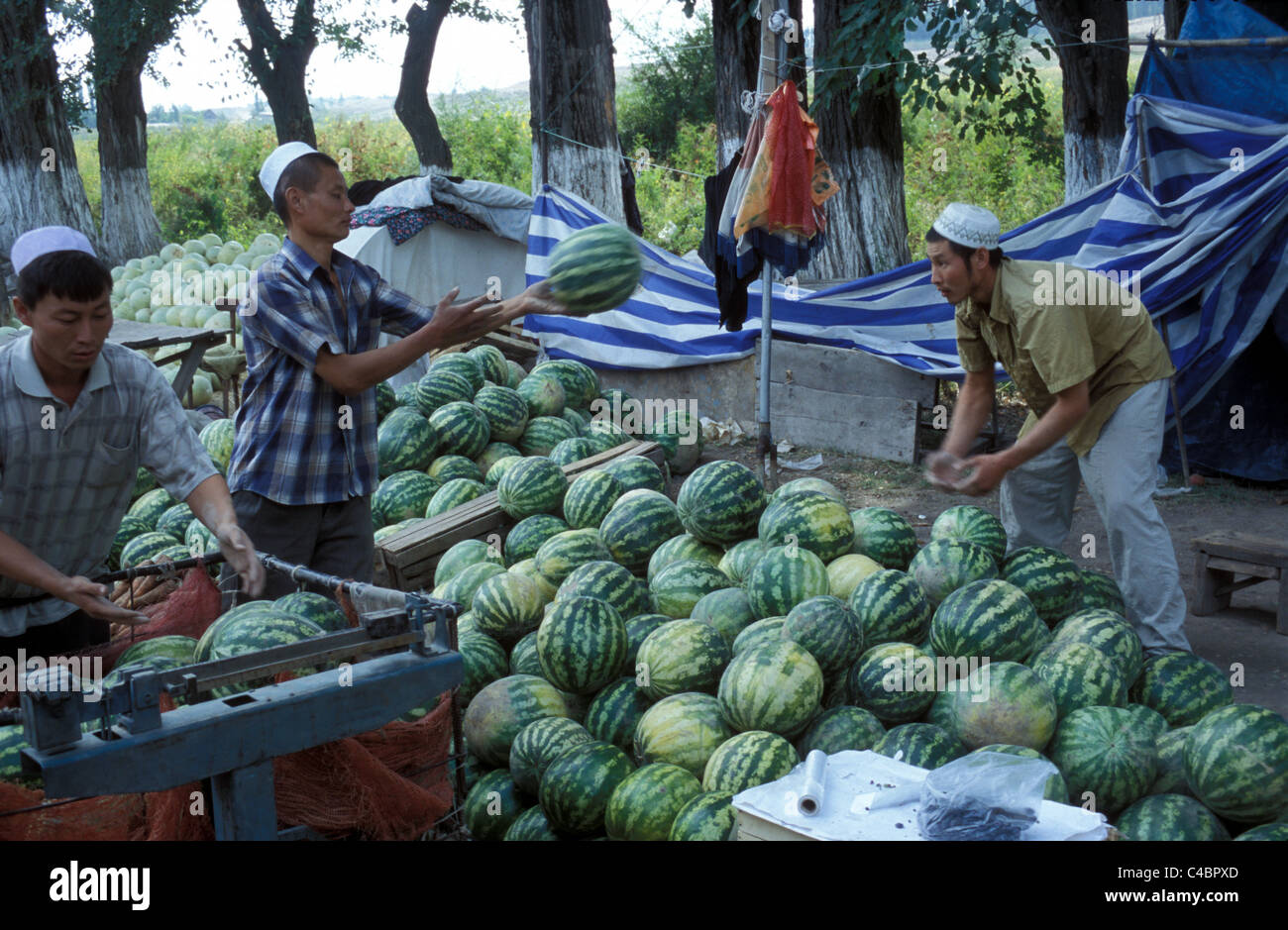 Water melon seller hi-res stock photography and images - Alamy