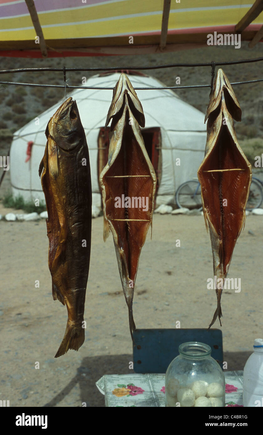 Lake issyk kul fish hi-res stock photography and images - Alamy