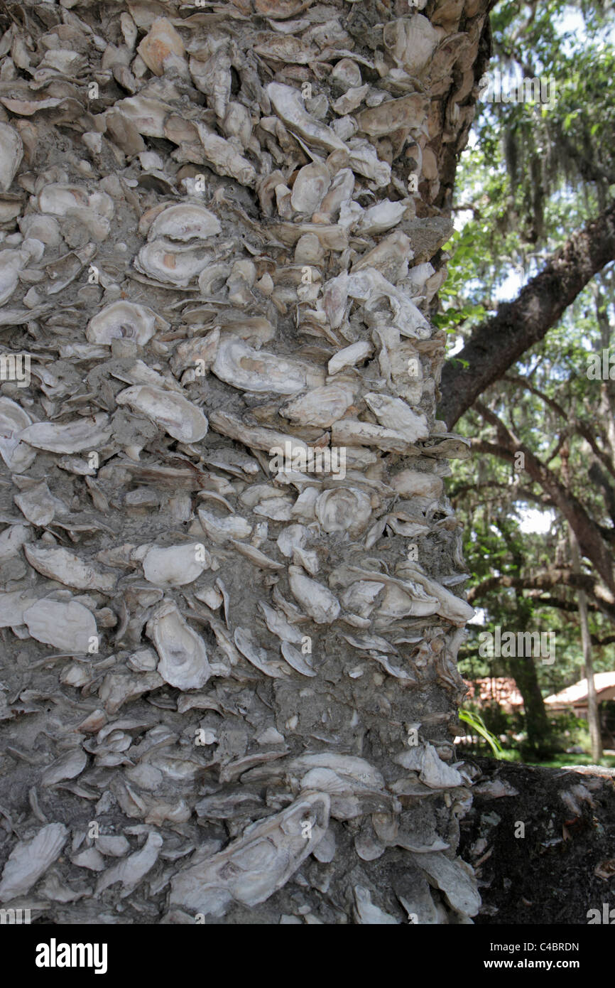 St. Saint Augustine Florida,Fountain of Youth Archaeological Park,tabby ...