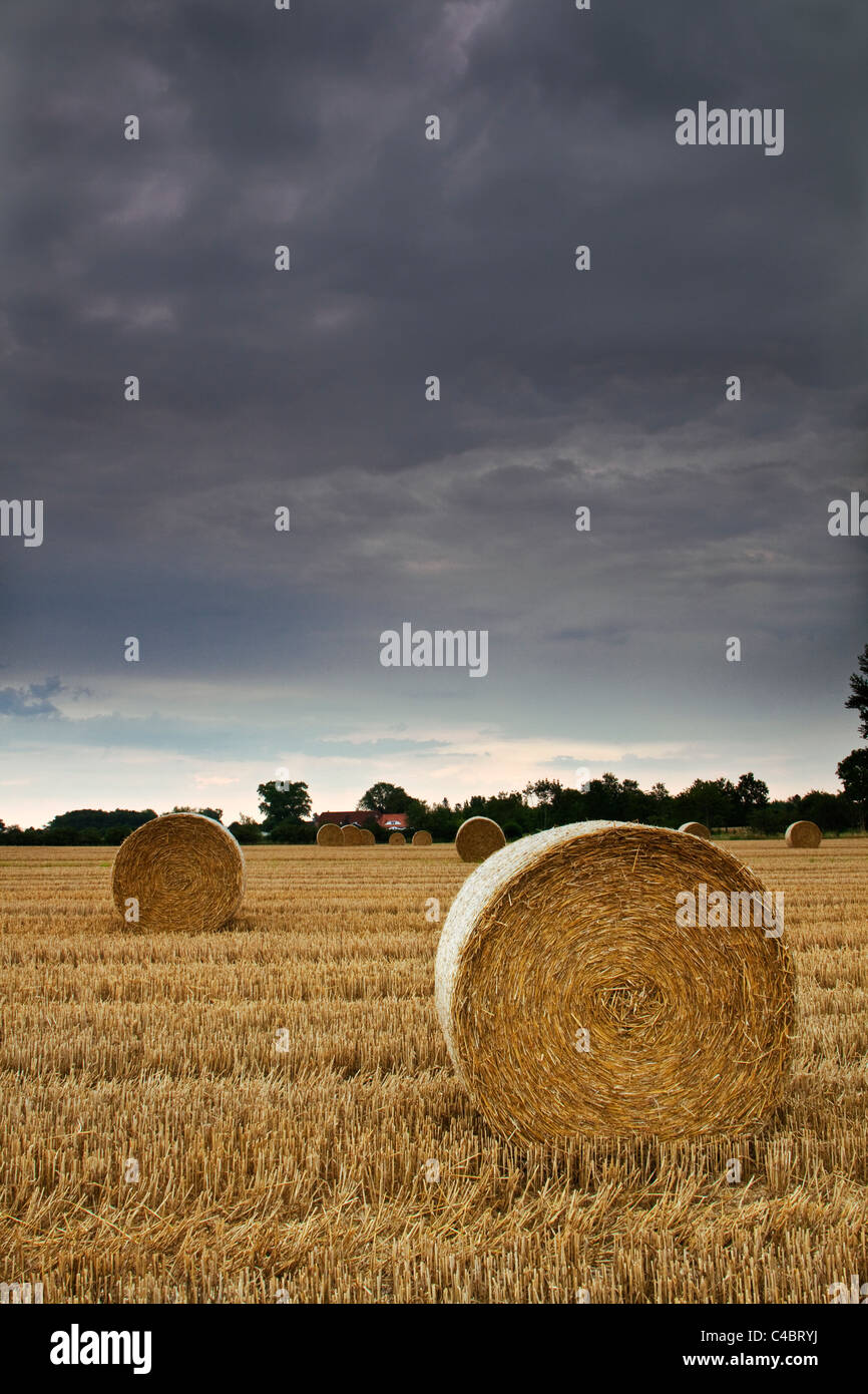 stubble field near Oldenburg i.H. Schleswig-Holstein, Germany Stock ...