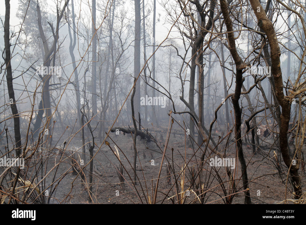 Smoldering Stock Photos & Smoldering Stock Images - Alamy