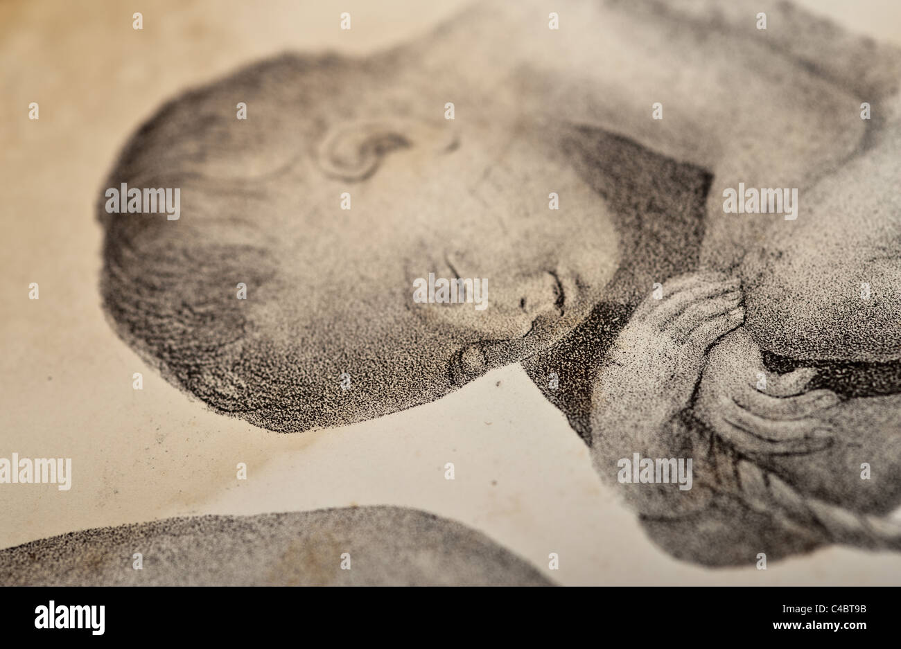 Illustration of Human Child before Birth copyright 1844 Stock Photo - Alamy