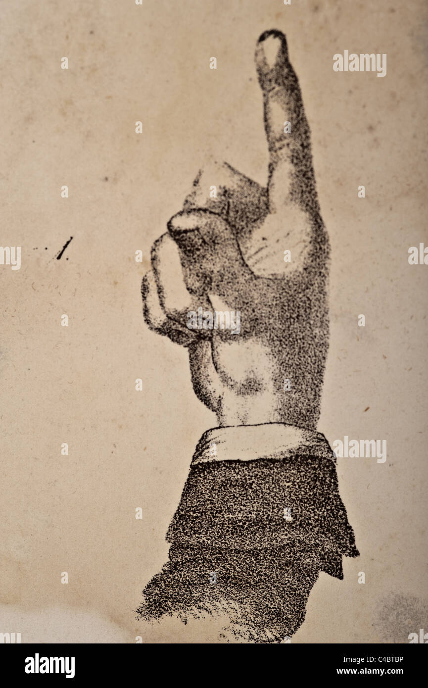 Illustration of the Human Hand copyright 1844 Stock Photo - Alamy