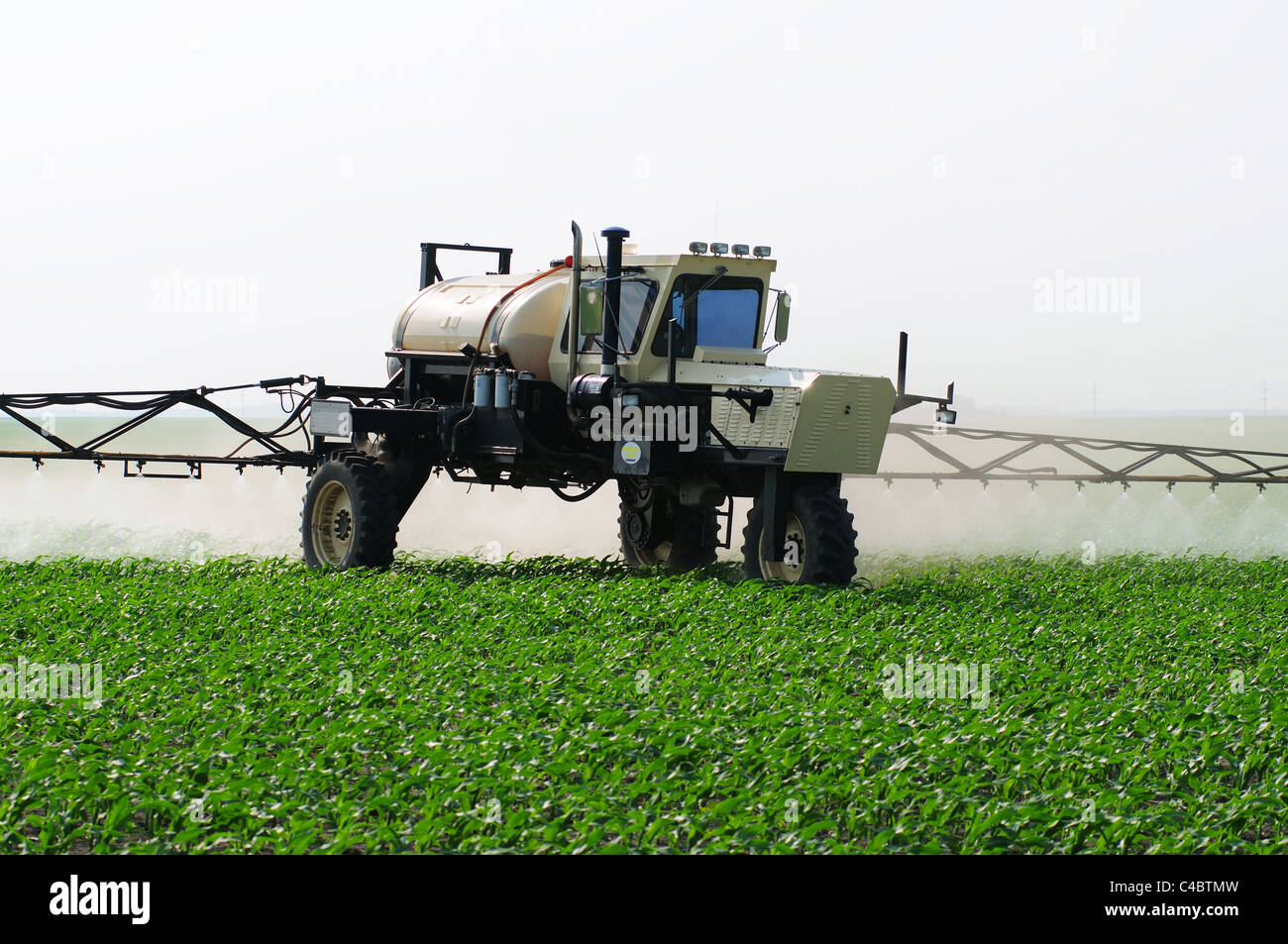 A self propelled crop sprayer treating a corn field with insecticide or ...