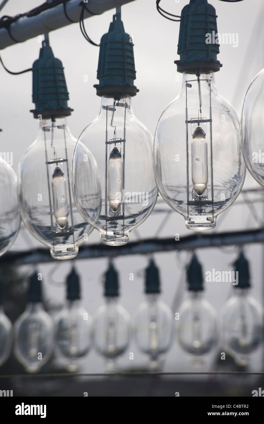Squid fishing light bulbs hi-res stock photography and images - Alamy