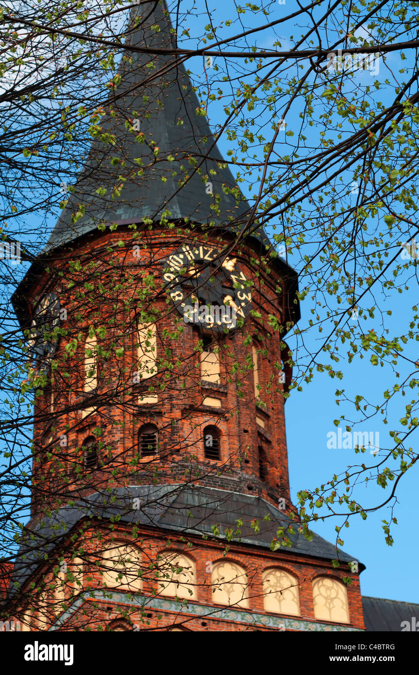 Number king of italy hi-res stock photography and images - Alamy