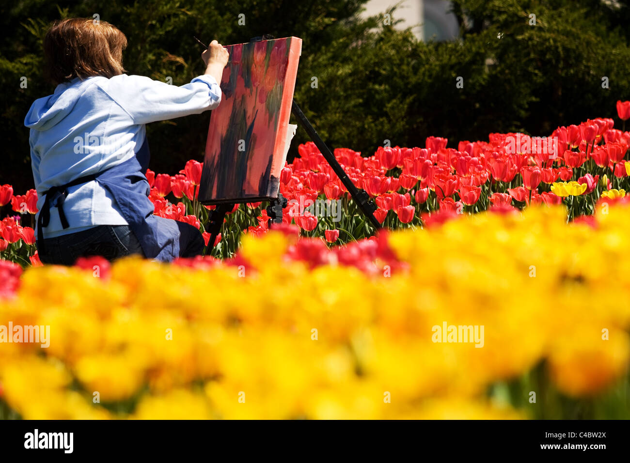 May 2011, Ottawa artist Lina Yachnin works on an oil painting during ...